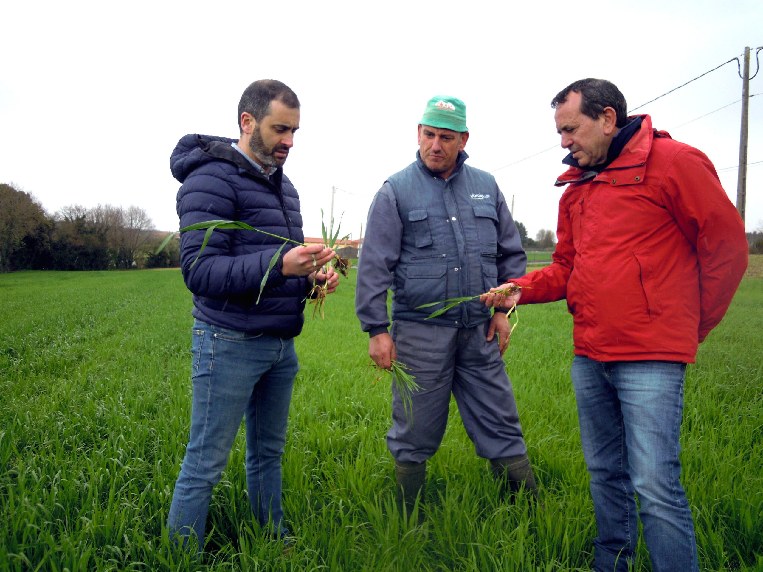 CALCIMAG FLOW, abonar y encalar con un único pase de tractor - Grupo Soaga
